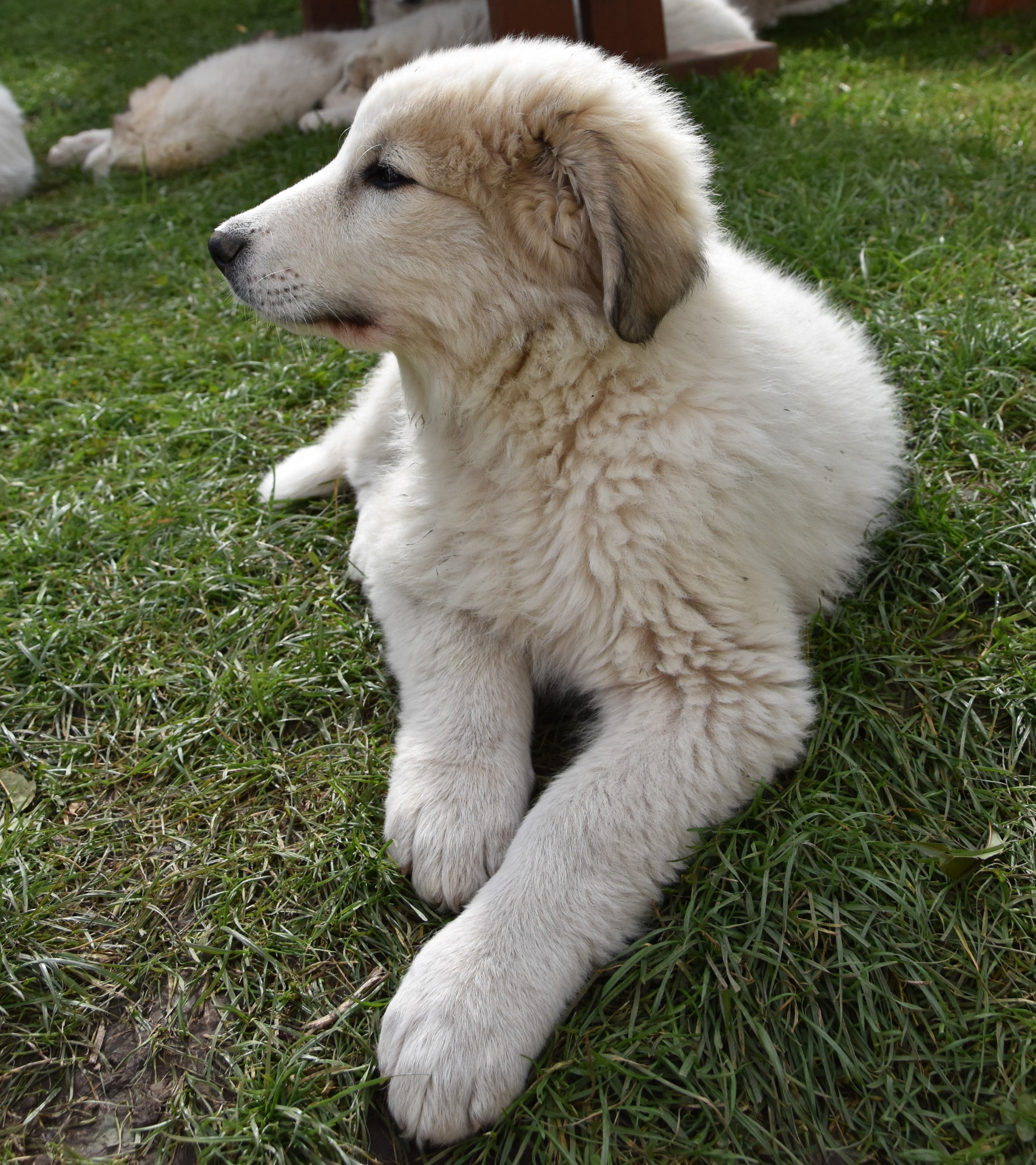 Fotogalerie :: TunicaAlba